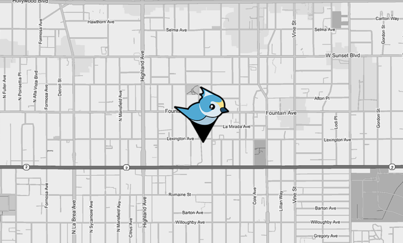 Contact – Titmouse