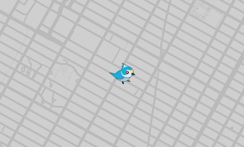 Contact – Titmouse